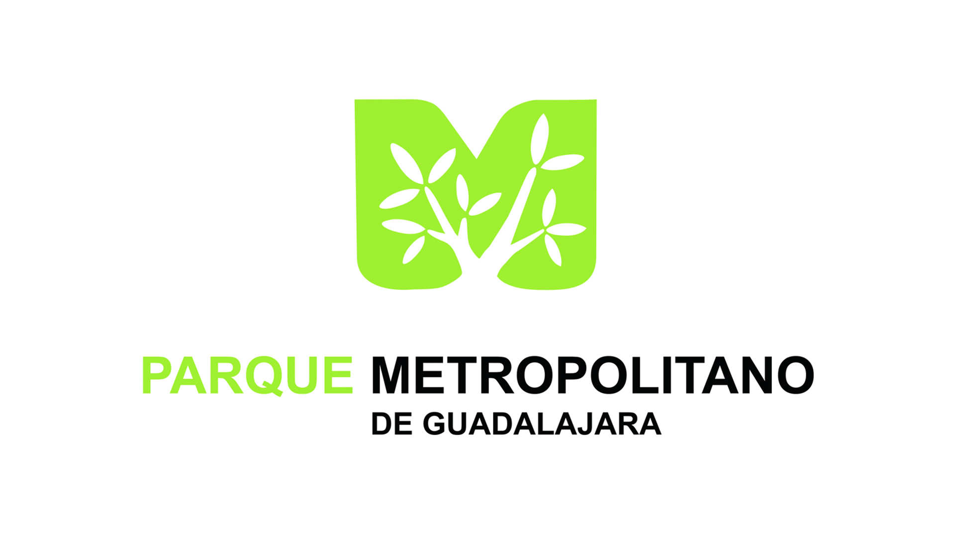 Vlive Media | Parque Metropolitano